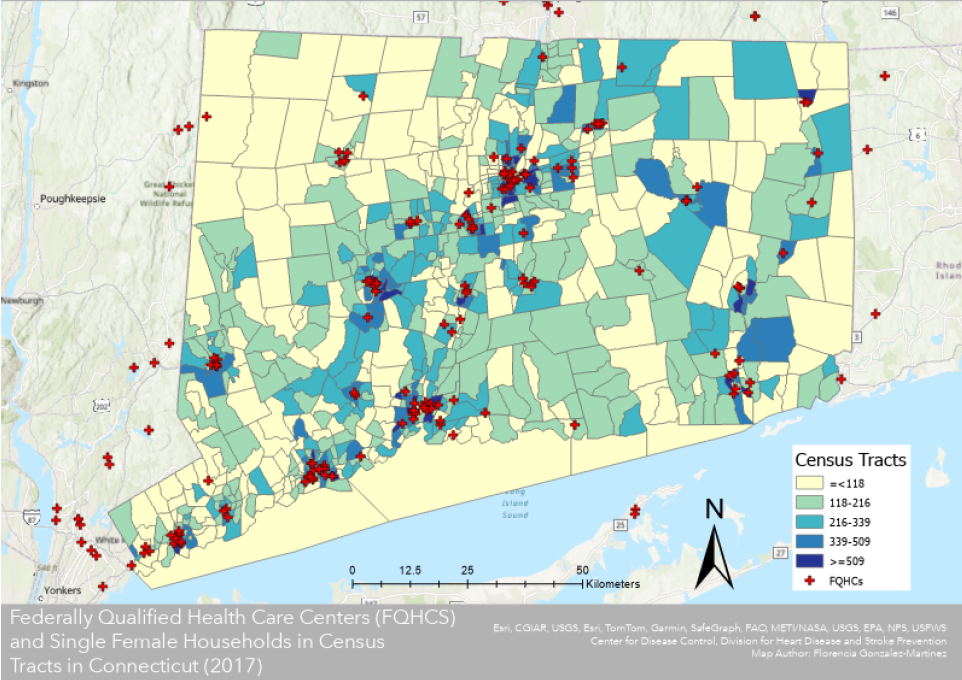 Accesses to FQHCs - ArcGIS Pro